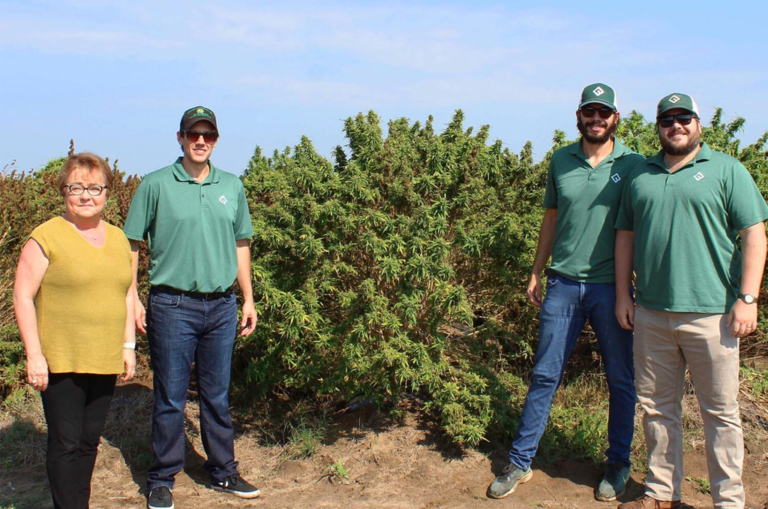 Florida: Hemp Growing company gathers largest legal harvest in over 80 ...